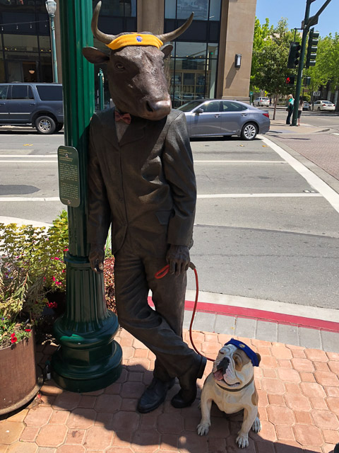 Bullman Warriors Fan in Downtown Walnut Creek – Beyond the Creek