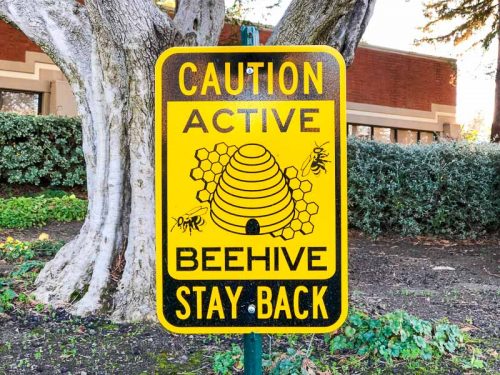 signs – Beyond the Creek