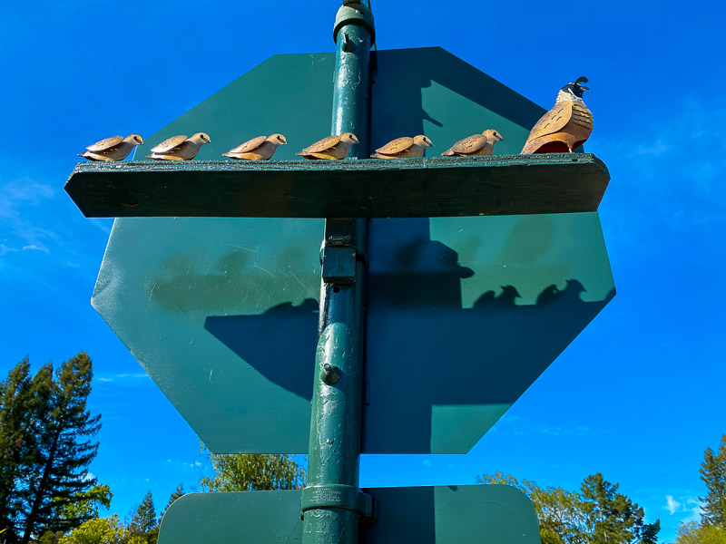 Bird Stop Sign of the Day – Beyond the Creek